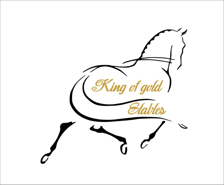 King Of Gold Stables Appartement Met Stalling Voor 5 Paarden - Genk