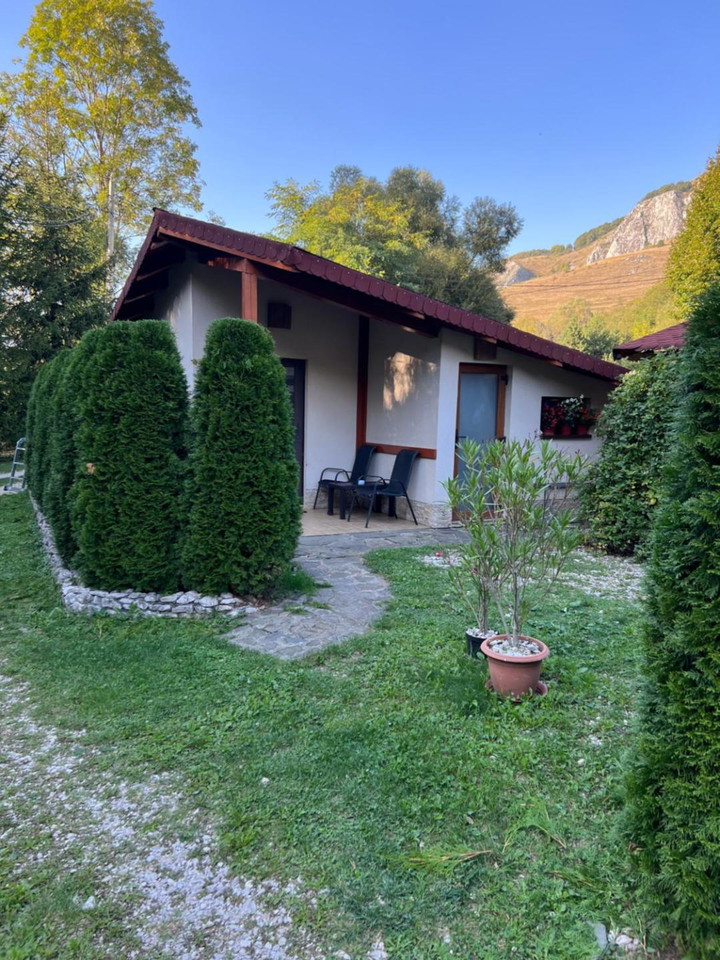 Studiouri Valisoara - Cluj