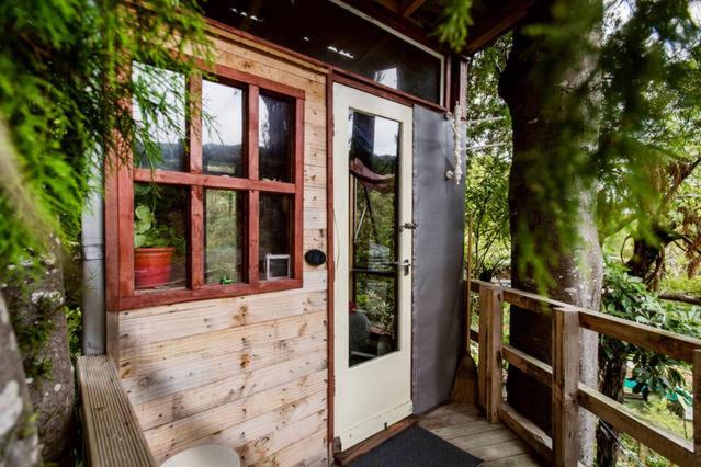The Treehut At The Rabbithole, Upper Hutt - Upper Hutt