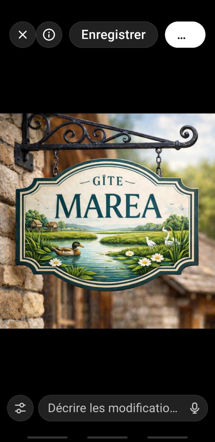 Gite Marea - Pas-de-Calais