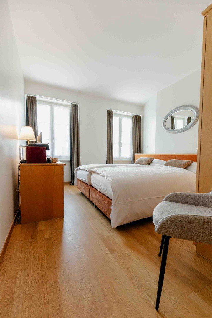 Hôtel Du Cheval Blanc - City Center - 샤흐메