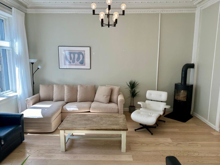 Classical 3 Bedroom, 2 Bath, Minutes From Royal Palace, Main Shopping Street, Restaurants & Downtown - Oslo