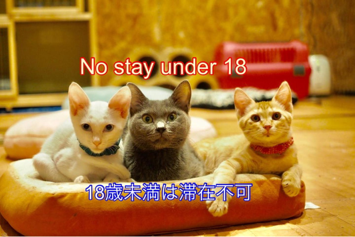 Nekokura Hostel - Fukuoka
