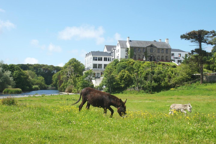 Falls Hotel & Spa - Clare County