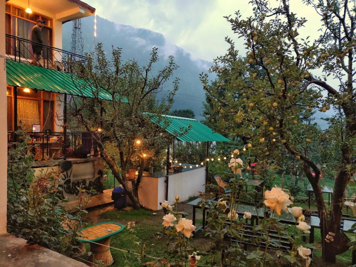 Madpackers Manali - Himachal Pradesh