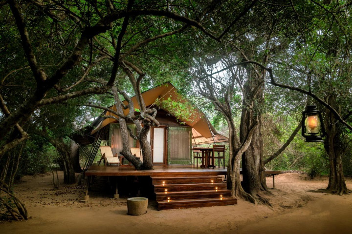 Leopard Reach Yala By Seven Angels - Sri Lanka