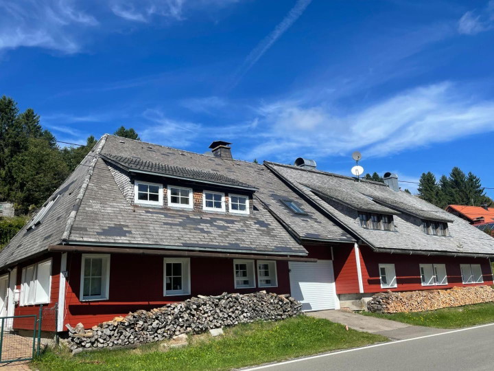 Erholsame Schwarzwaldwohnung - Feldberg