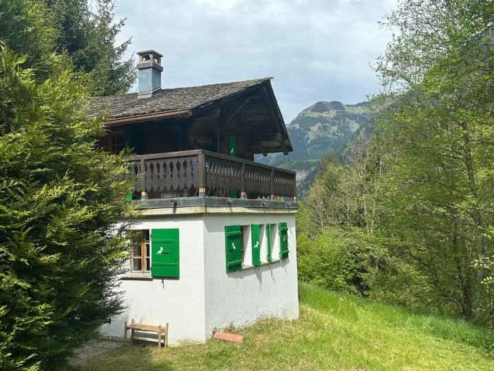 Cozy Mazot Champéry Portes Du Soleil - Abondance
