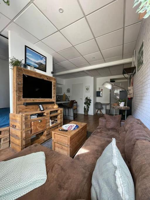 Studio Cosy Tout Confort - Le Drouvenant - Clairvaux-les-Lacs