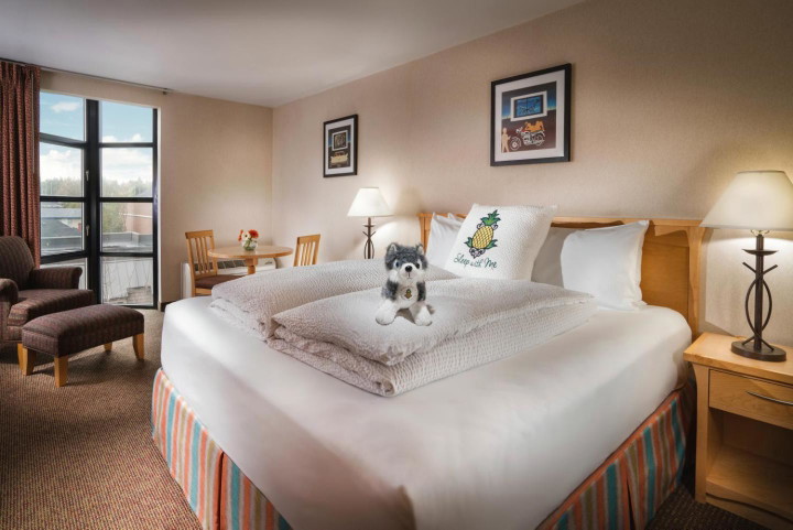 Staypineapple, Watertown Hotel, University District Seattle - Seattle, WA