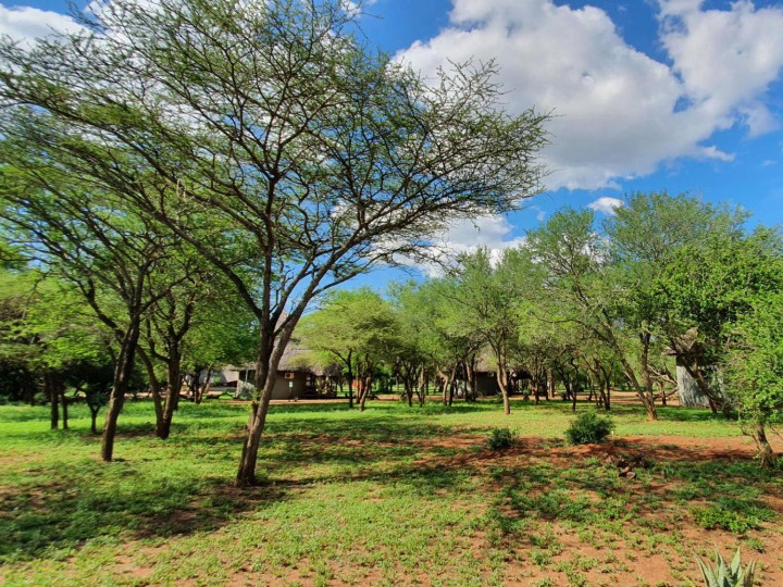 Kamsholo Bushveld Safaris - Swaziland/ Eswatini
