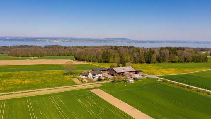 Hof-tschannen - Black Forest