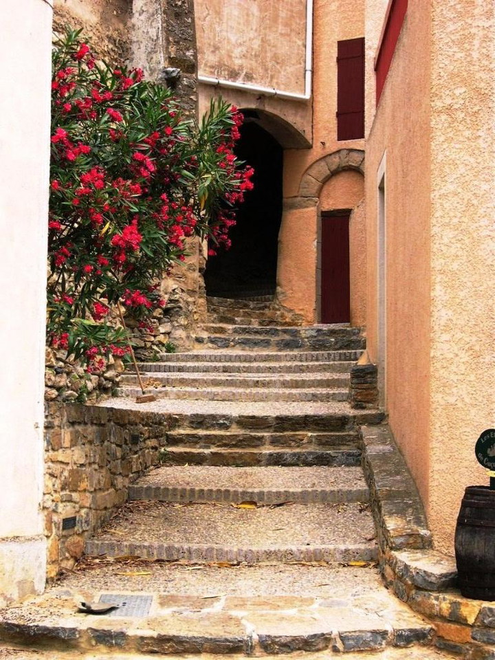 Apartment The Haven - Cucugnan