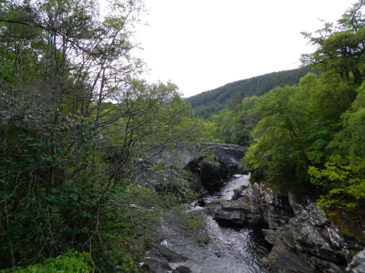 Forest Glen Holiday Park - Scotland
