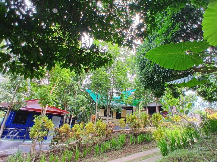 Balite Falls Cabins - Silang