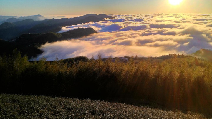 Cuiti B&b - Alishan Township
