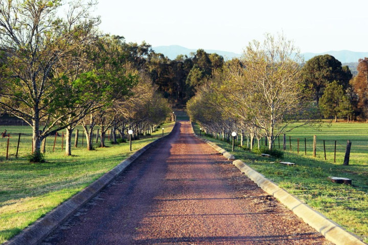 Blueberry Hill Vineyard Stay - Hunter Region