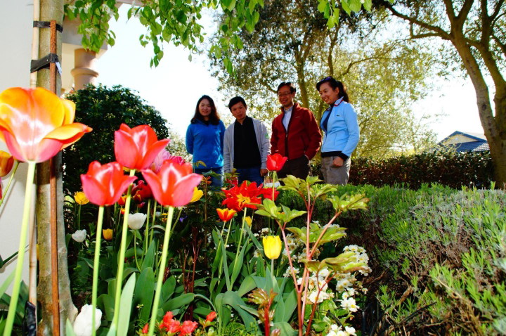 Olive House Bed And Breakfast - Christchurch