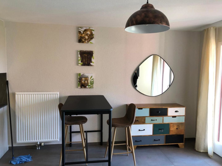 Amazing Studio In Lausanne Close To Epfl And Unil - Bussigny