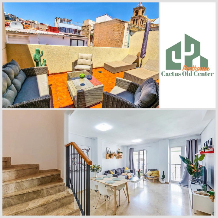 Penthouse Cactus Old Center - Alicante