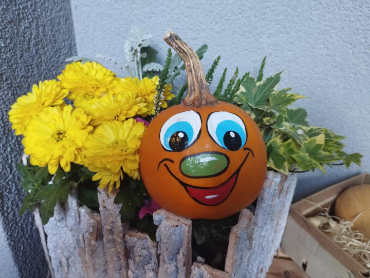 Pension Temizdemir - Lahr/Schwarzwald
