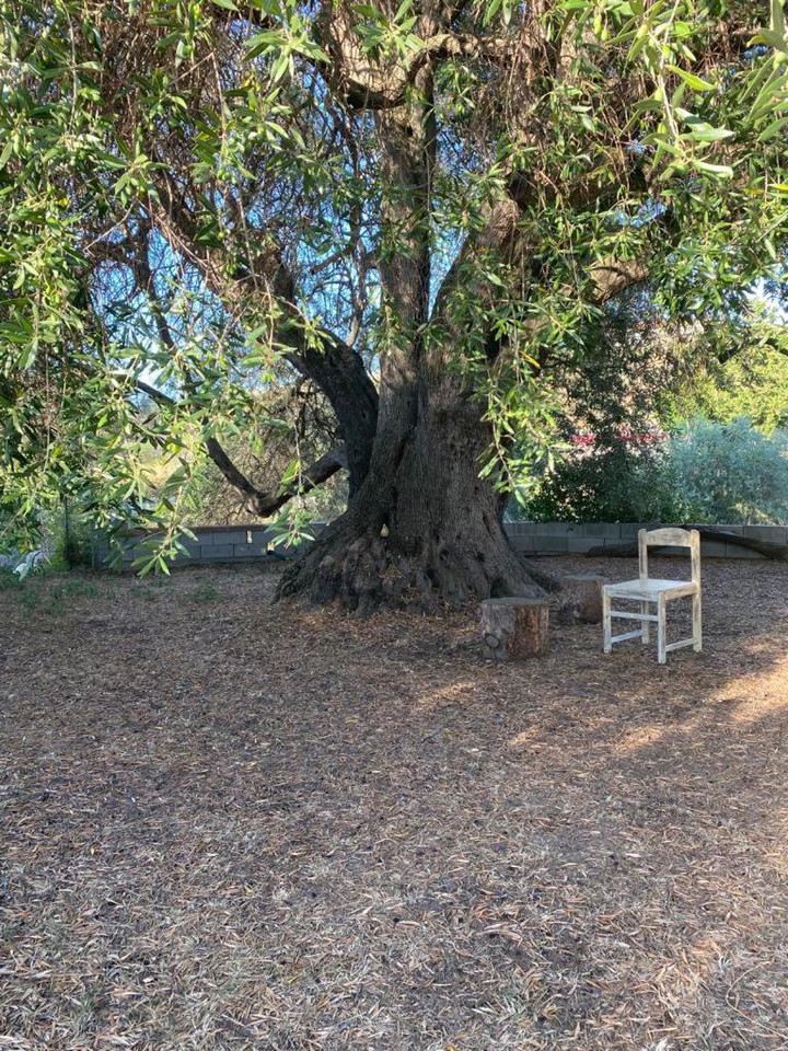 Casa Olea - Sorso