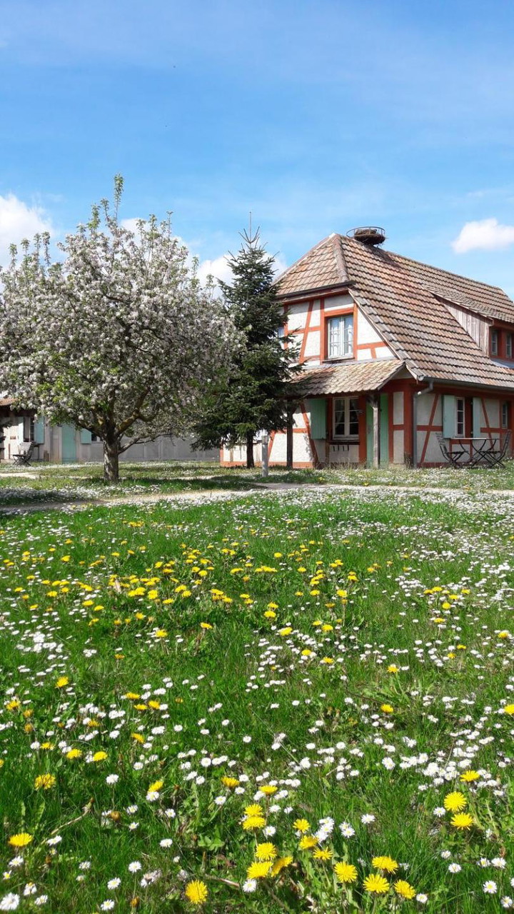 Les Loges De L'ecomusée D'alsace - Haut-Rhin