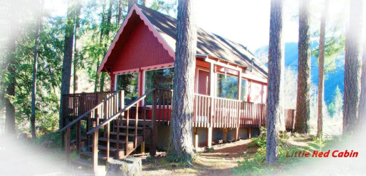 Mt Rainier Little Red Cabin - 애쉬포드