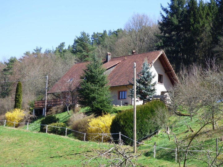 Les Cerisiers - Alsace