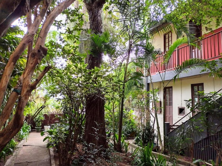 Casarão Com Amplo Quintal, A Paz Ao Lado Do Centro - Rio de Janeiro