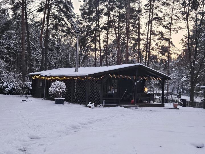 Ferienhaus Waldhütte Ferch - Schwielowsee