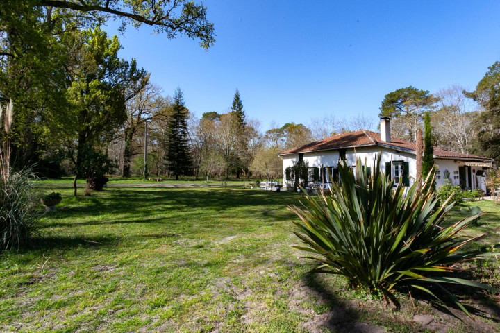 Domaine Forestier Darricau Au Bord Du Lac, 12 Min De L'océan - Landas