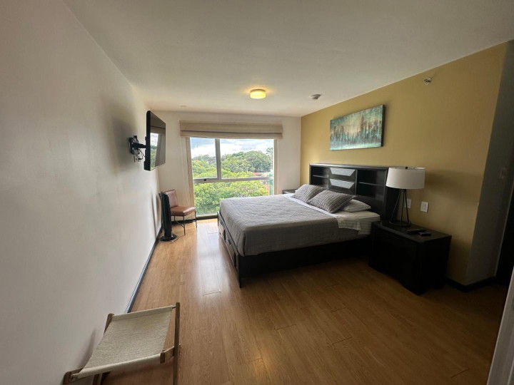 Charming Two Bedroom With Balcony - San José