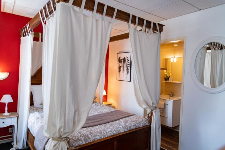 Hotel Henri Iv - Loiret