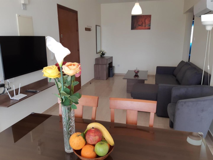 Vasilas Holiday Apartment #1 - Lárnaka
