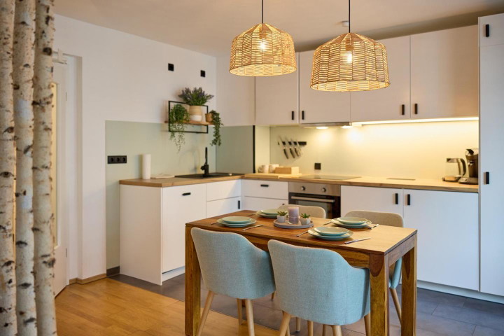 Großzügiges Studio-apartment - Dresde