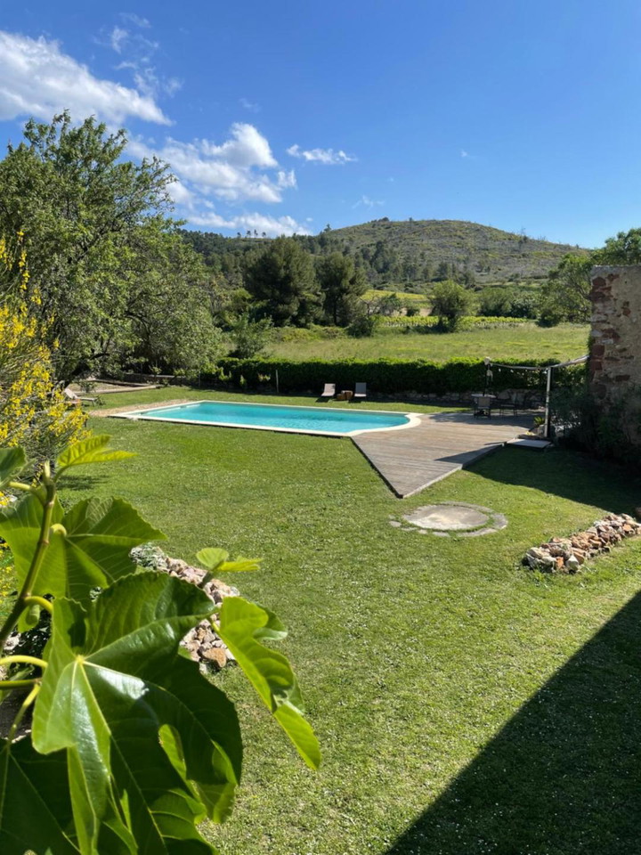 Monte Vinea - Languedoc-Roussillon