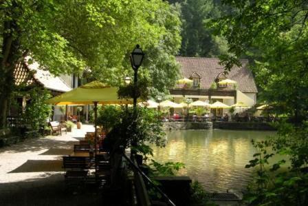 Waldhotel Silbermühle - Horn-Bad Meinberg