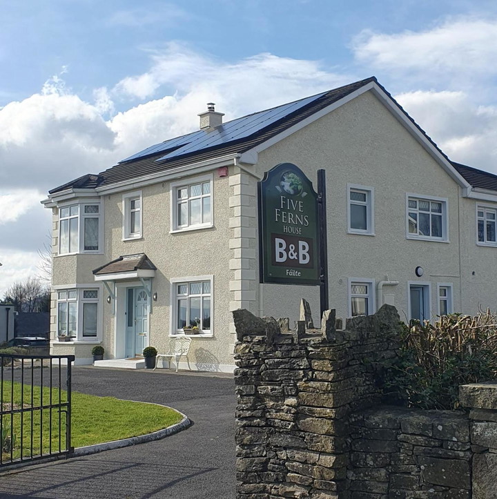 Five Ferns House - Westport