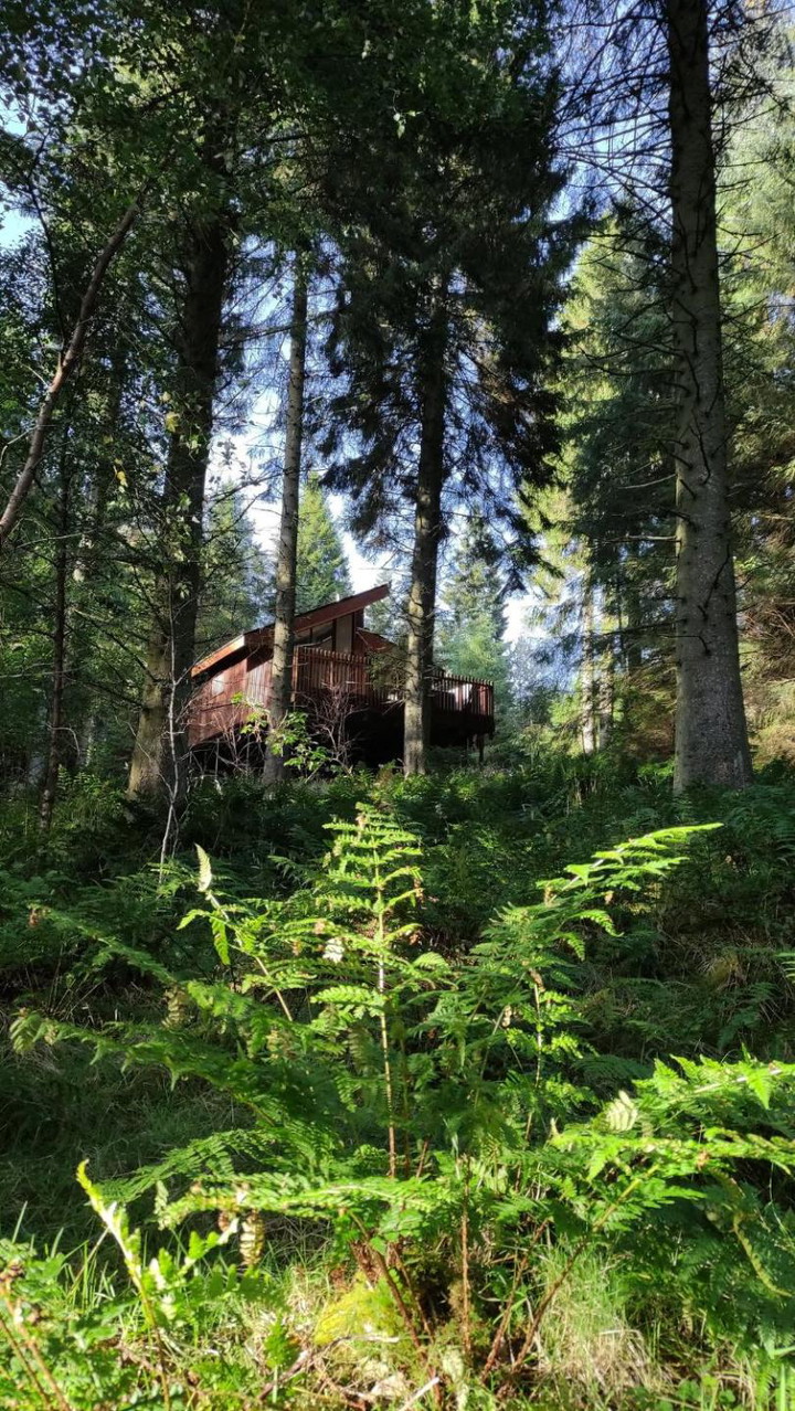 Glentress Forest Cabins - Forest Holidays - England