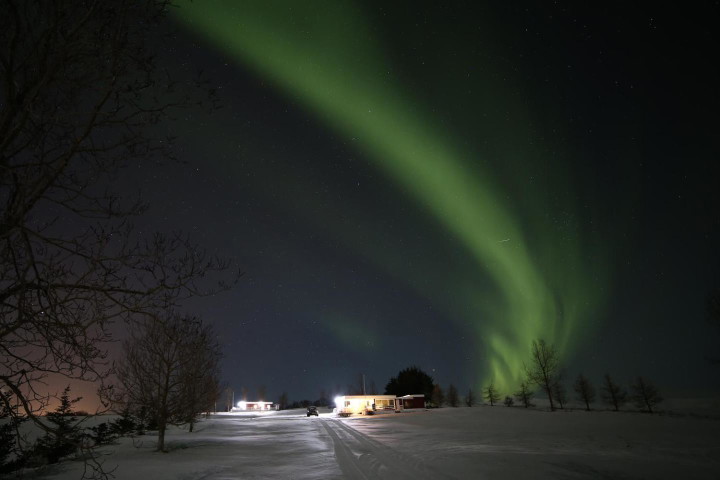 Höfði Cottages - Islande
