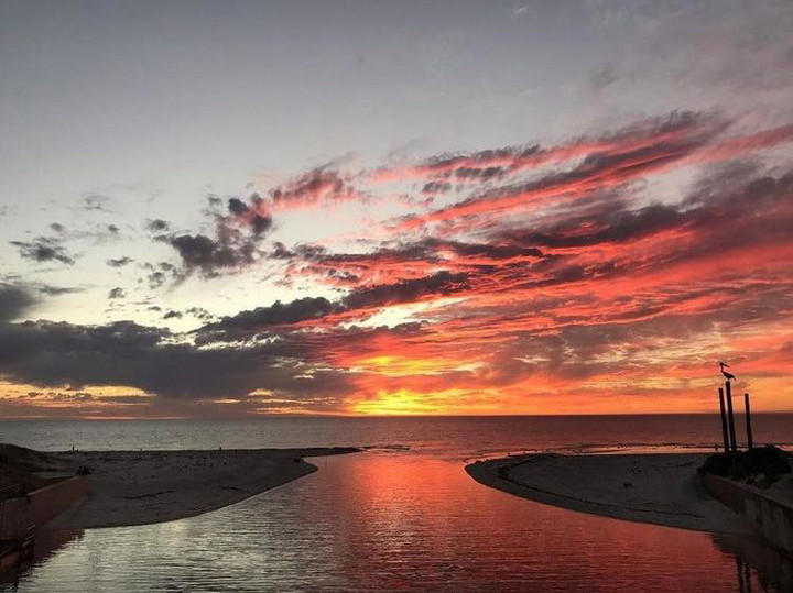 Absolute Beachfront, Adjacent Henley Square, Relax - Adelaide