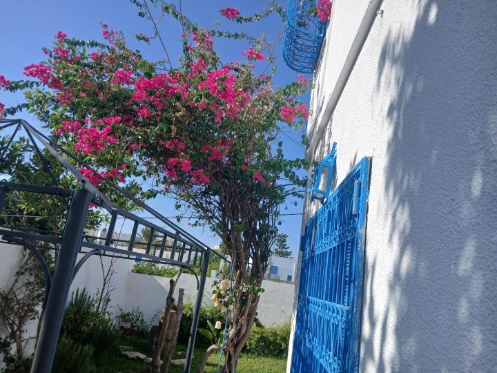 Villa Bia - Hammamet