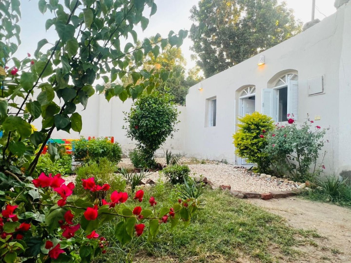 Nile Flower Guesthouse - Lúxor