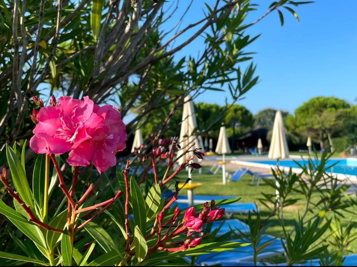 Calilla Home - Appartamento Maestrale - Grado