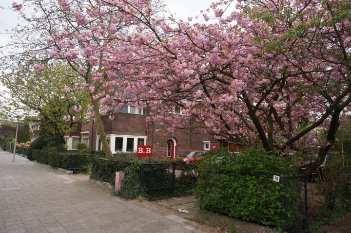 Xaviera's Bed And Breakfast - Amsterdam