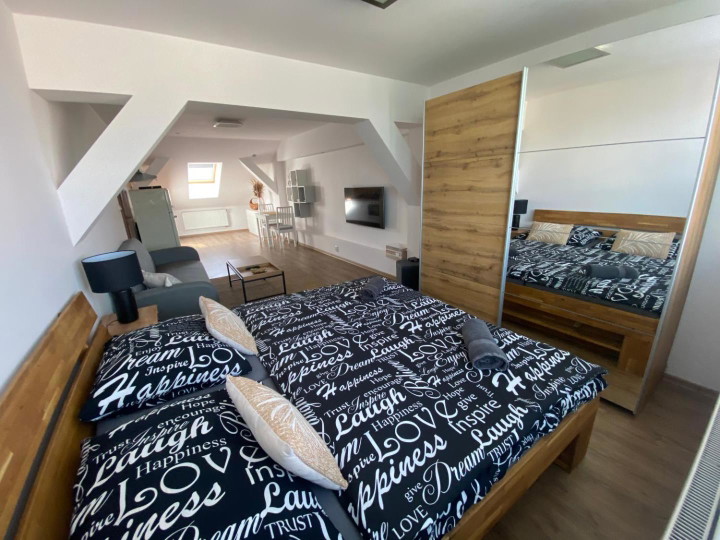 ČErný Tulipán - Apartmán 6 - Pilsen
