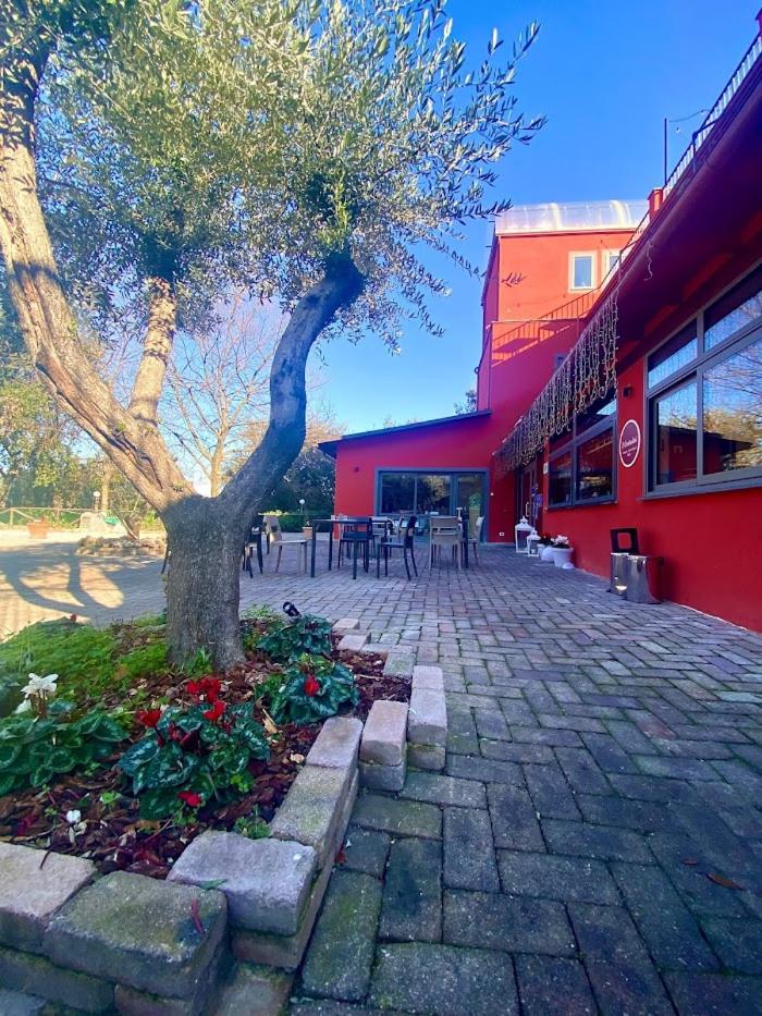 La Casina Rossa Affittacamere - Riomaggiore