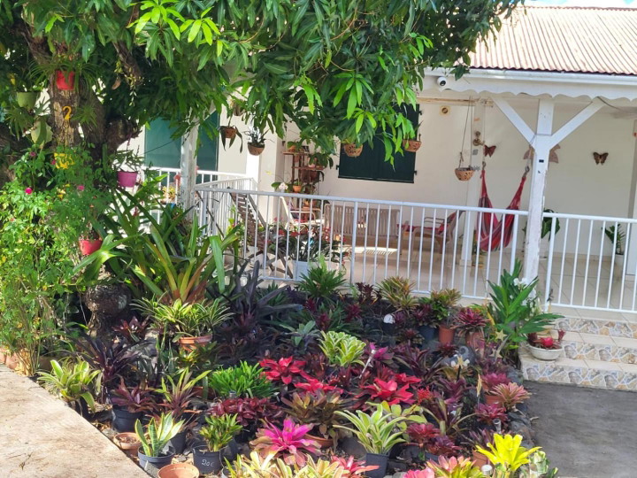 Case Rouge - Guadeloupe