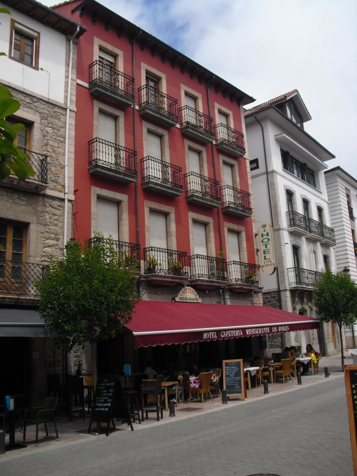 Hotel Los Robles - Cangas de Onís